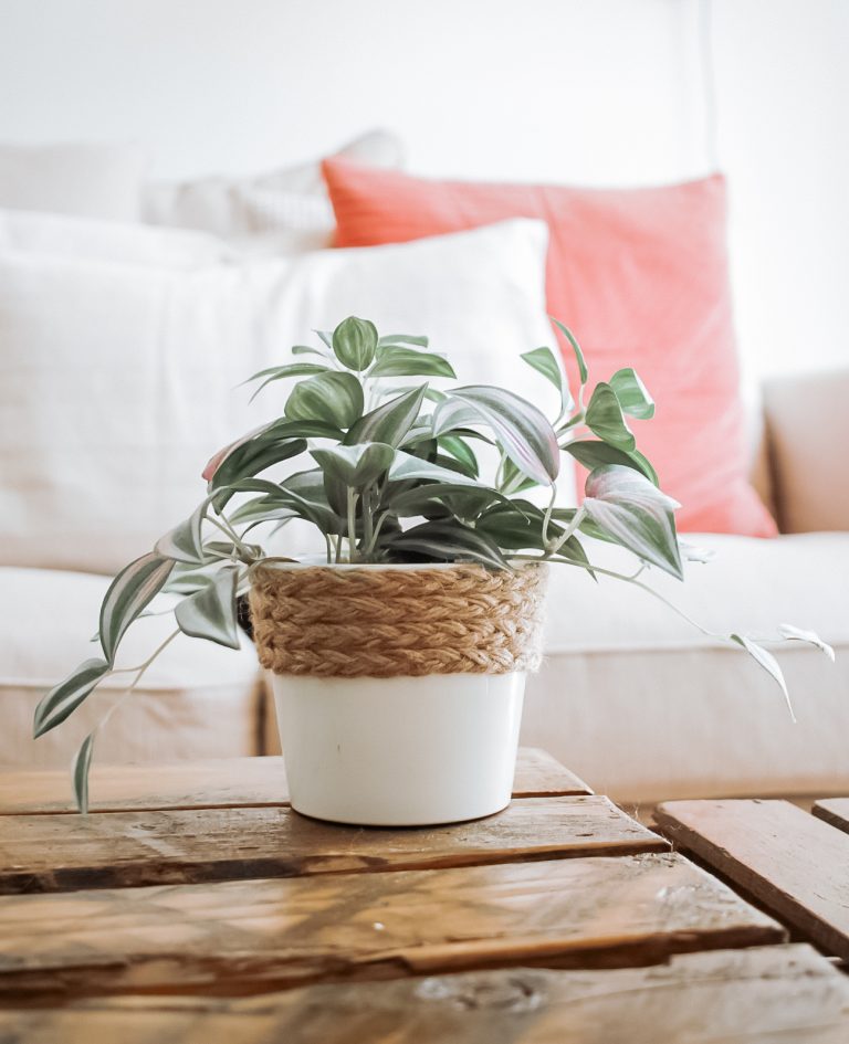 Tuto Déco : Le pot naturel en corde tressée | My Blog Deco